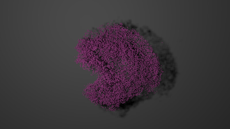 Adam Williams - Portfolio