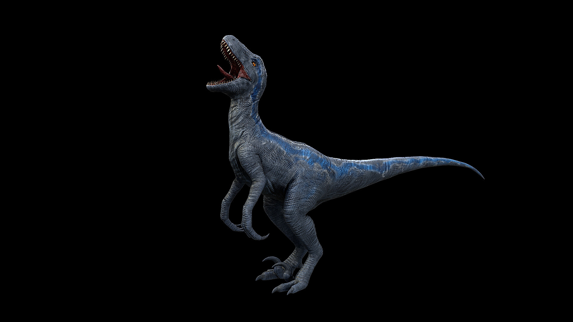 ArtStation - Blue Raptor | Velociraptor | Ngchipv