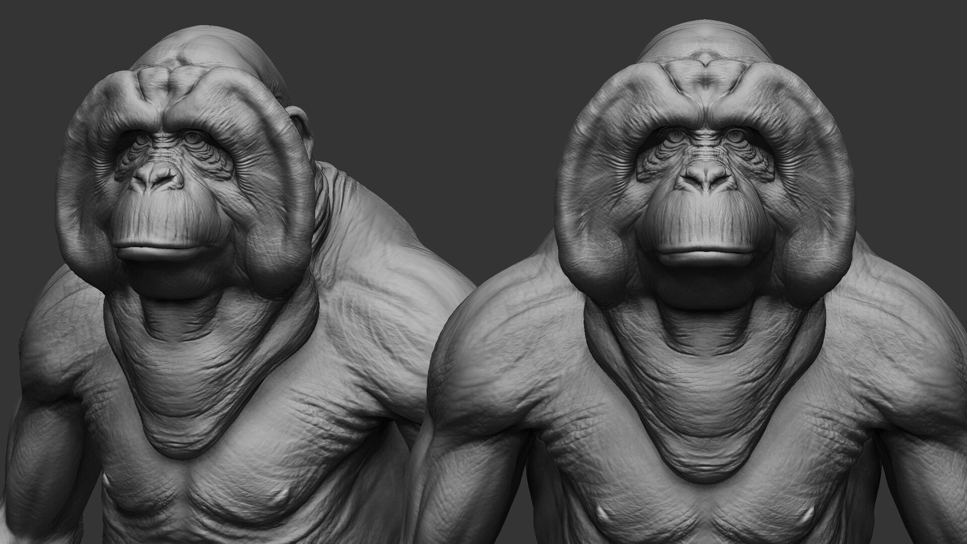ArtStation - Orangutan Model
