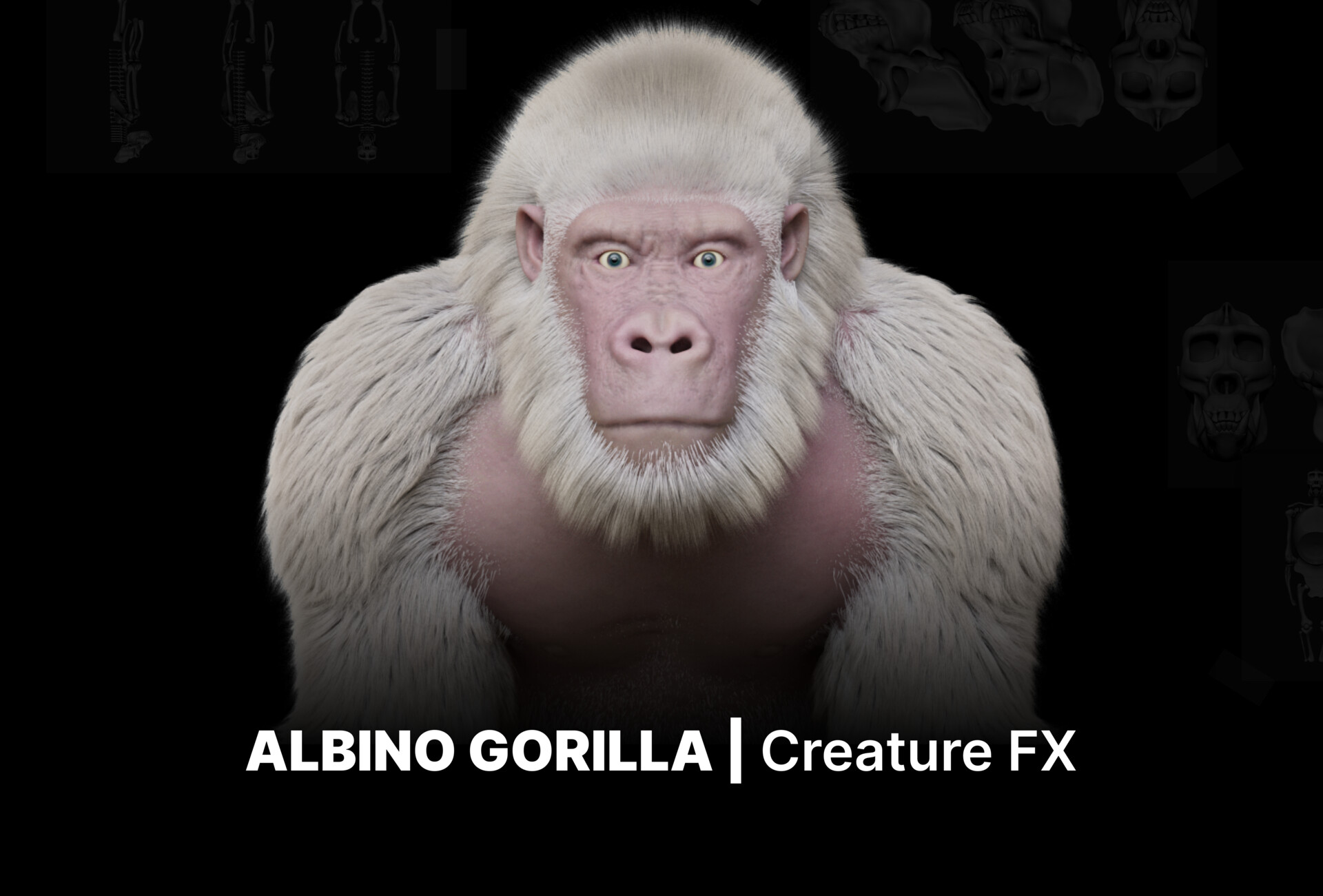 ArtStation - Albino Gorilla | Creature FX