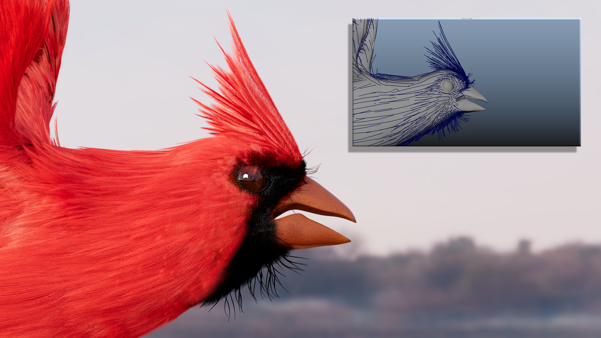 ArtStation - Yeti Feathers. Red Cardinal