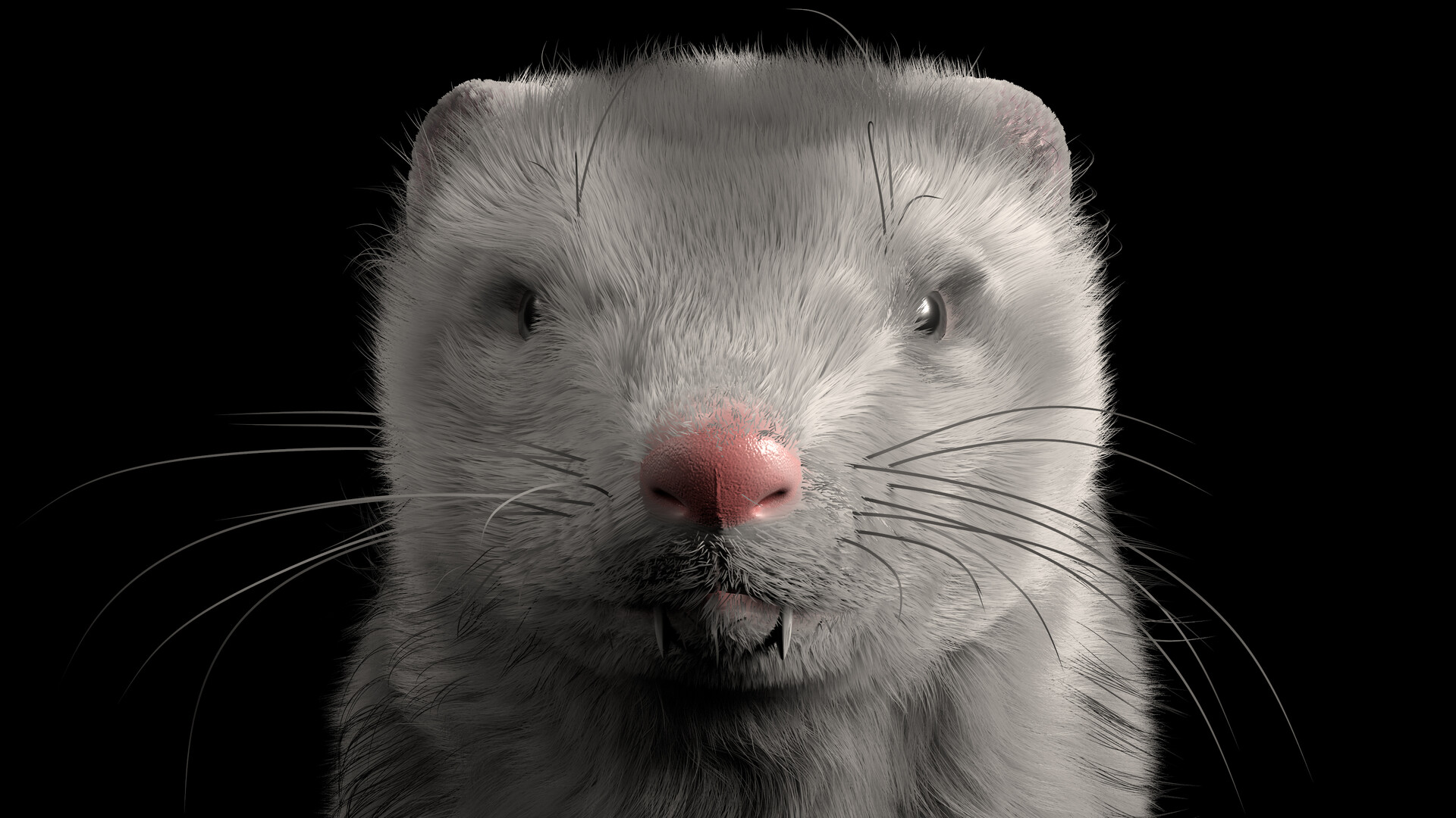 ArtStation - Houdini FX | Grooming | Ferret