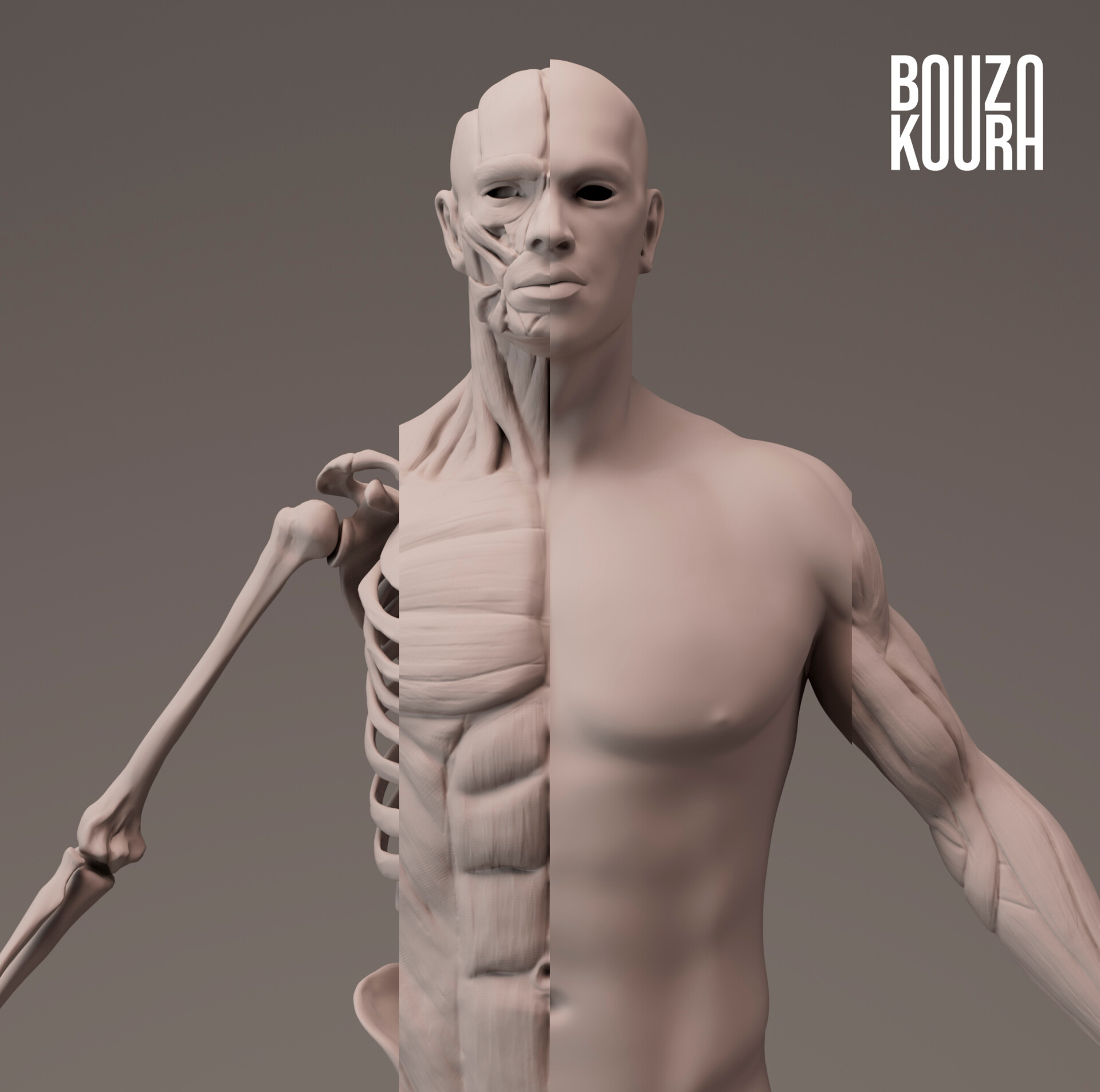 ArtStation - Ecorché and Bust study