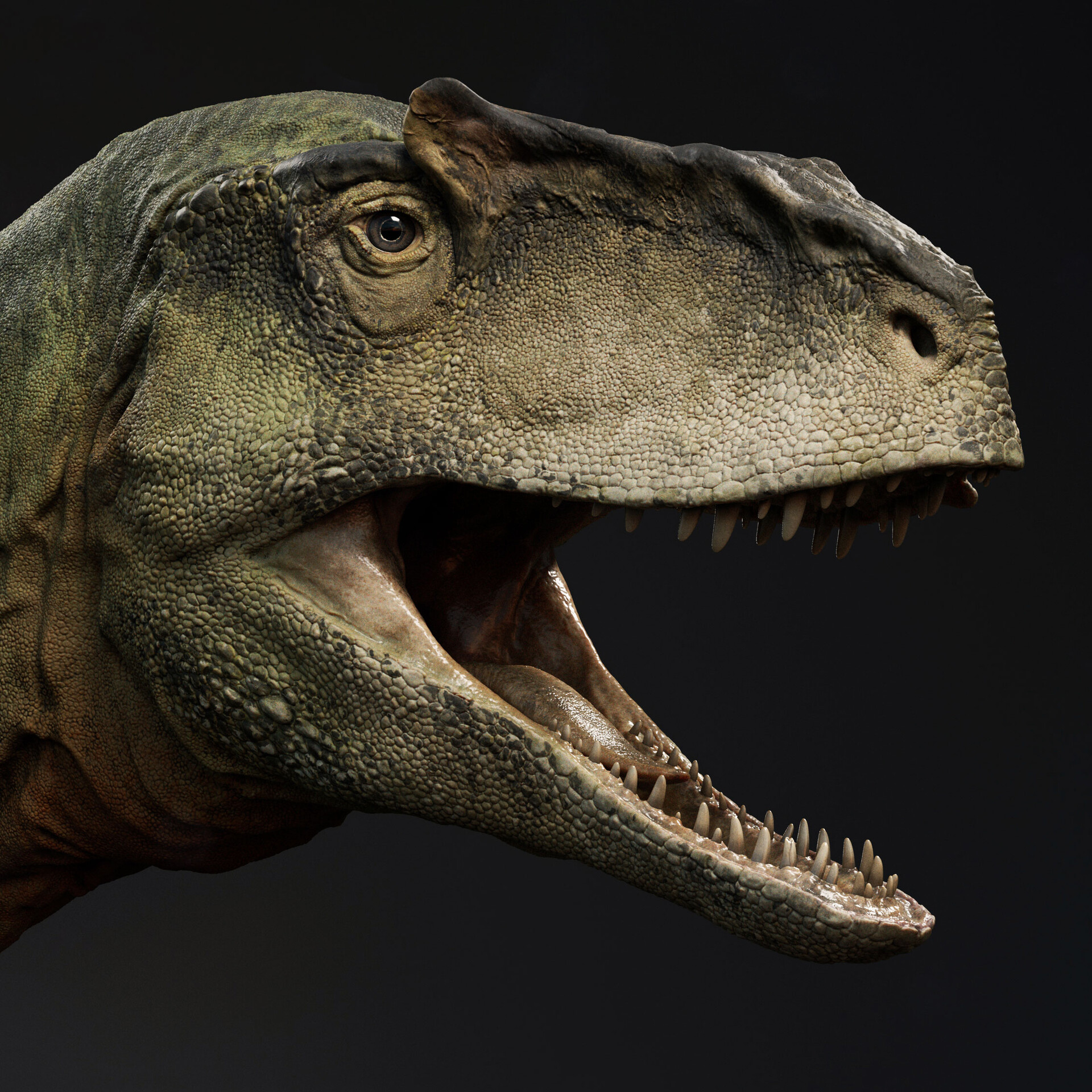 ArtStation - Sinraptor