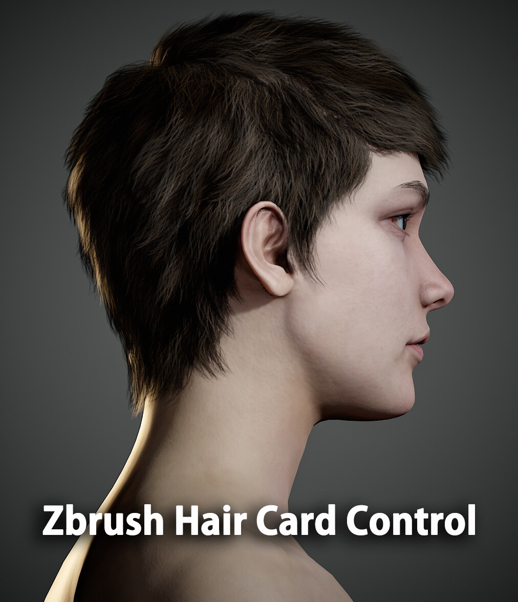 ArtStation - Z-HCC [Zbrush Hair Card Control]