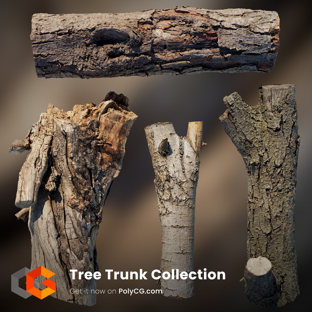 ArtStation - Tree Branch Collection V2