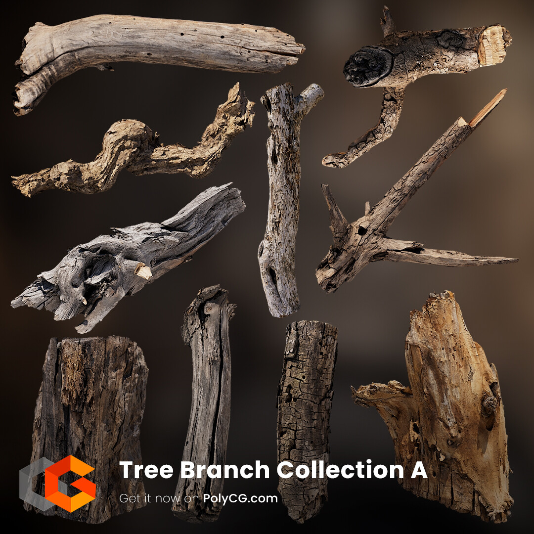 ArtStation - Tree Branch Collection V1