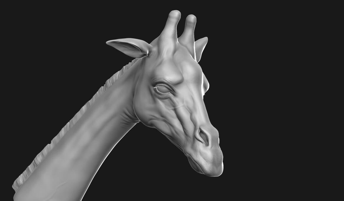 ArtStation - Giraffe Head