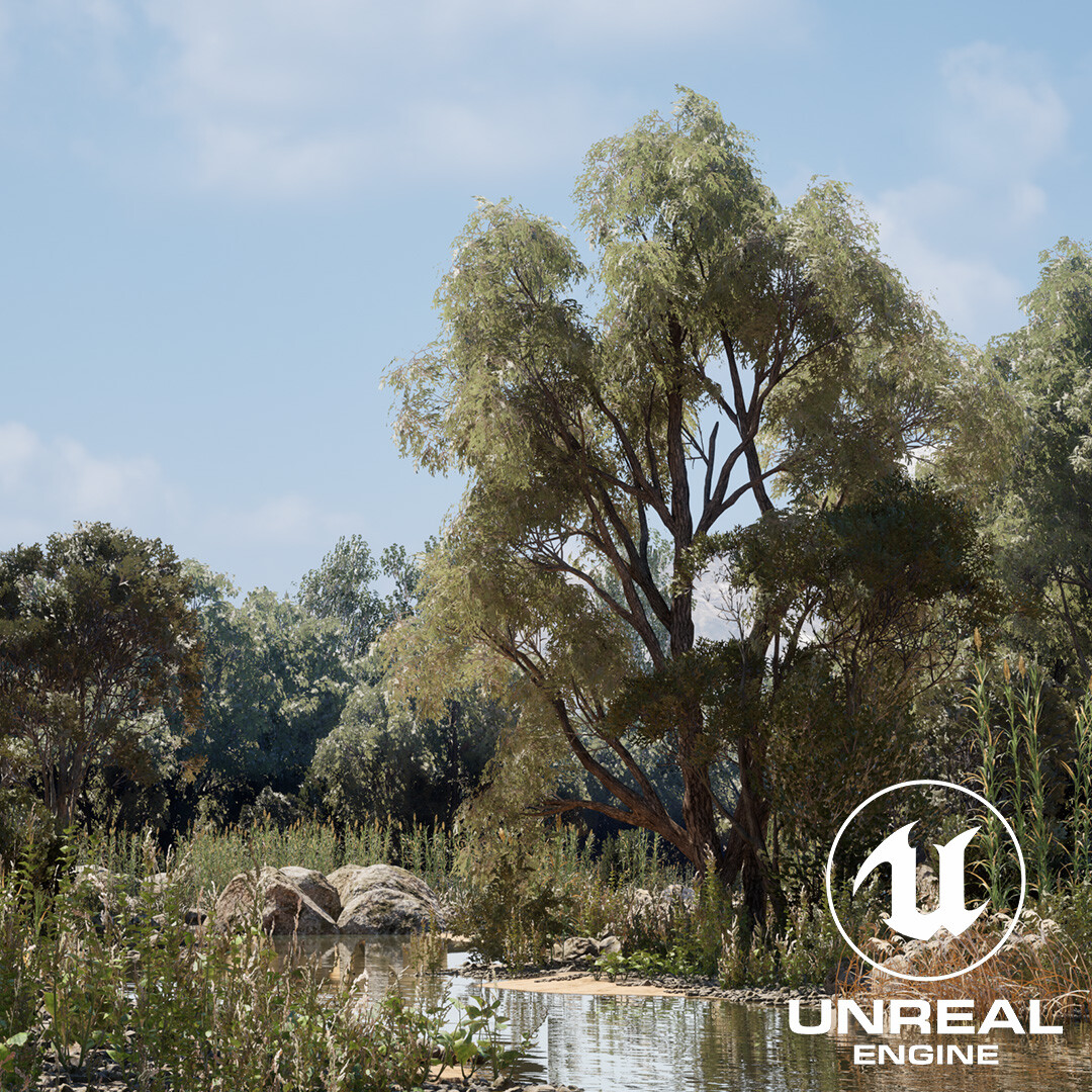 ArtStation - Unreal Engine 5 - Steppe Environment -Riverside