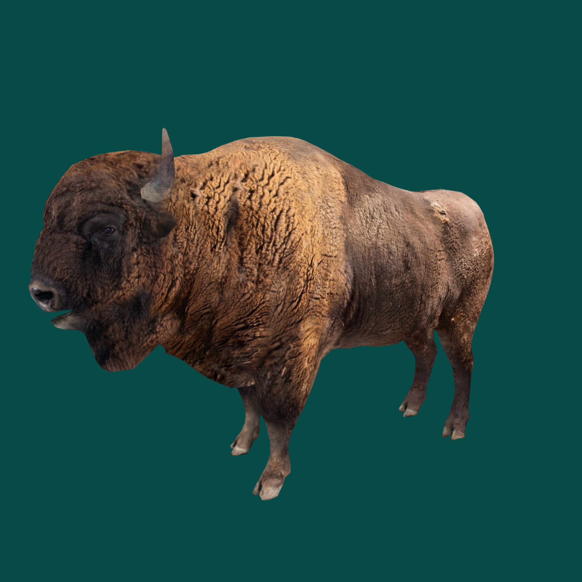 ArtStation - European Bison Male (Lowpoly)