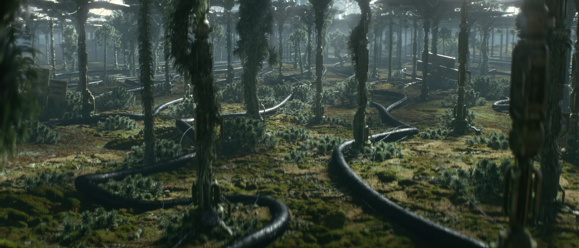 ArtStation - Tech Forest