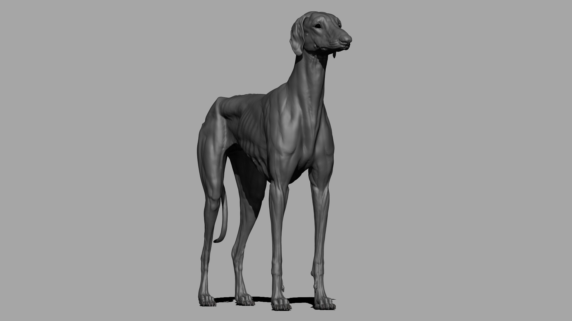 ArtStation - hound (wip)