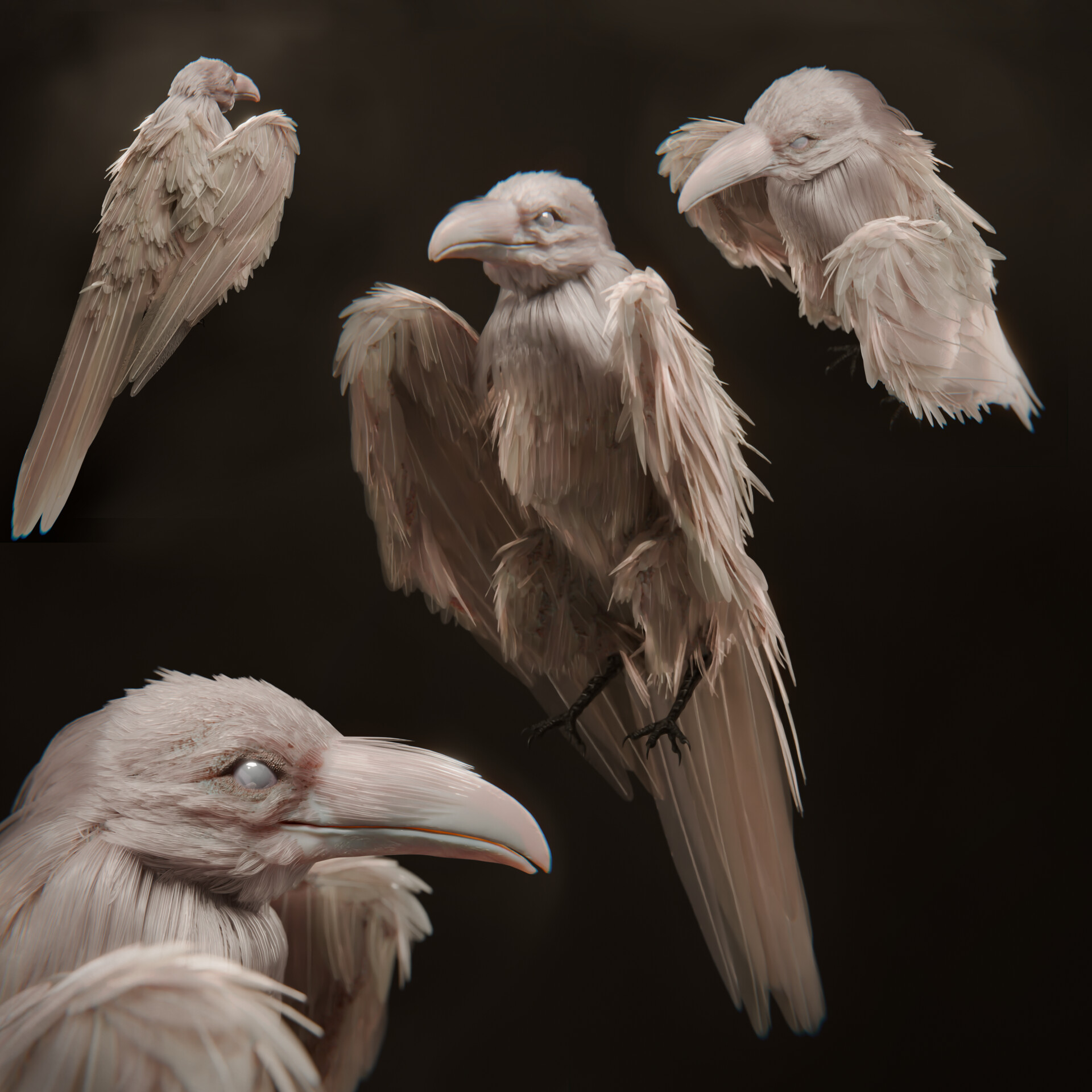 ArtStation - White Raven