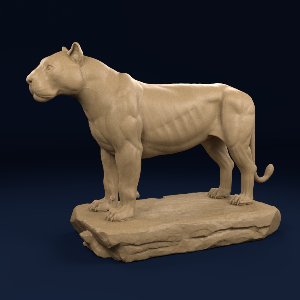 ArtStation - Tiger Anatomy Study