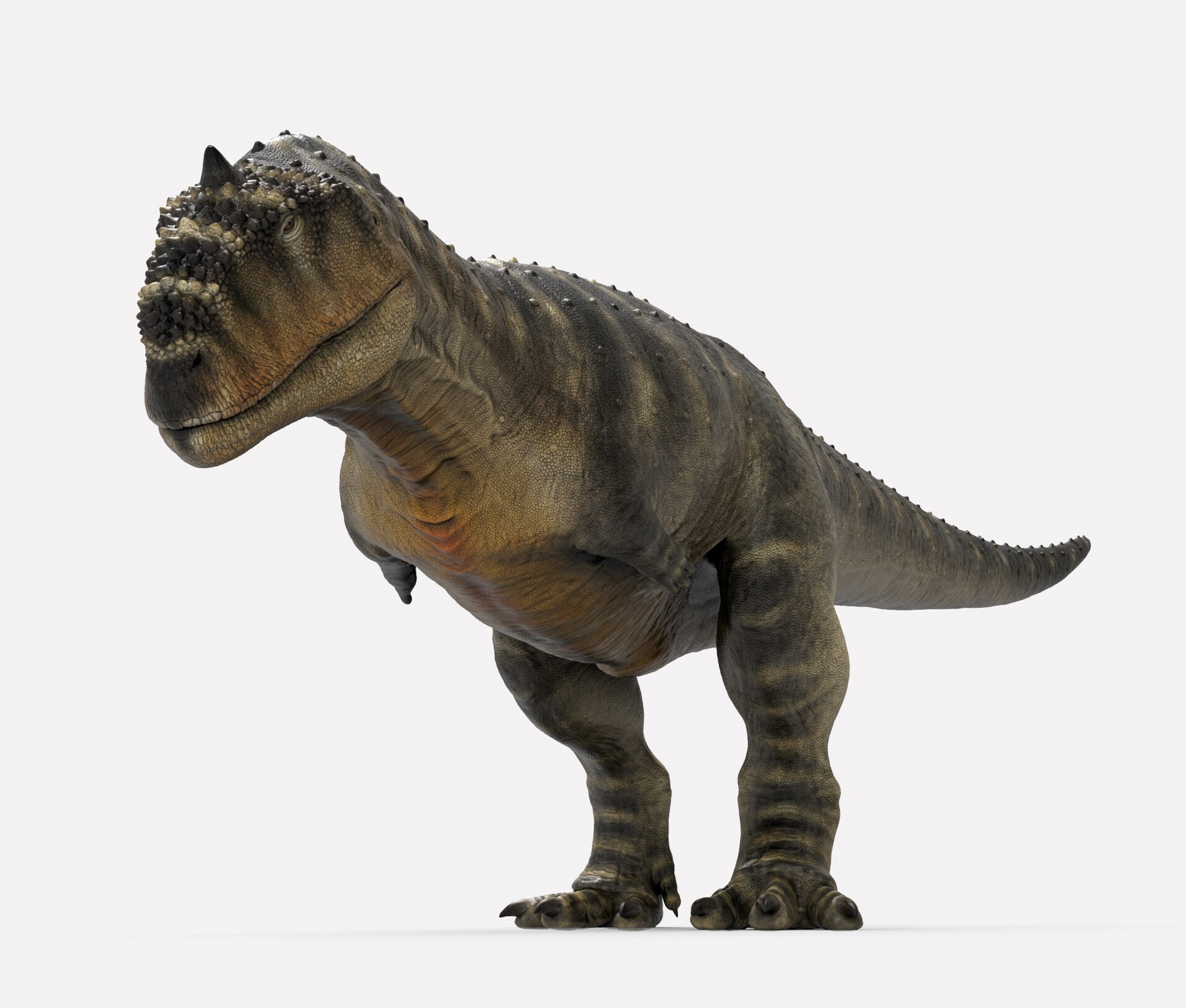 ArtStation - Majungasaurus model