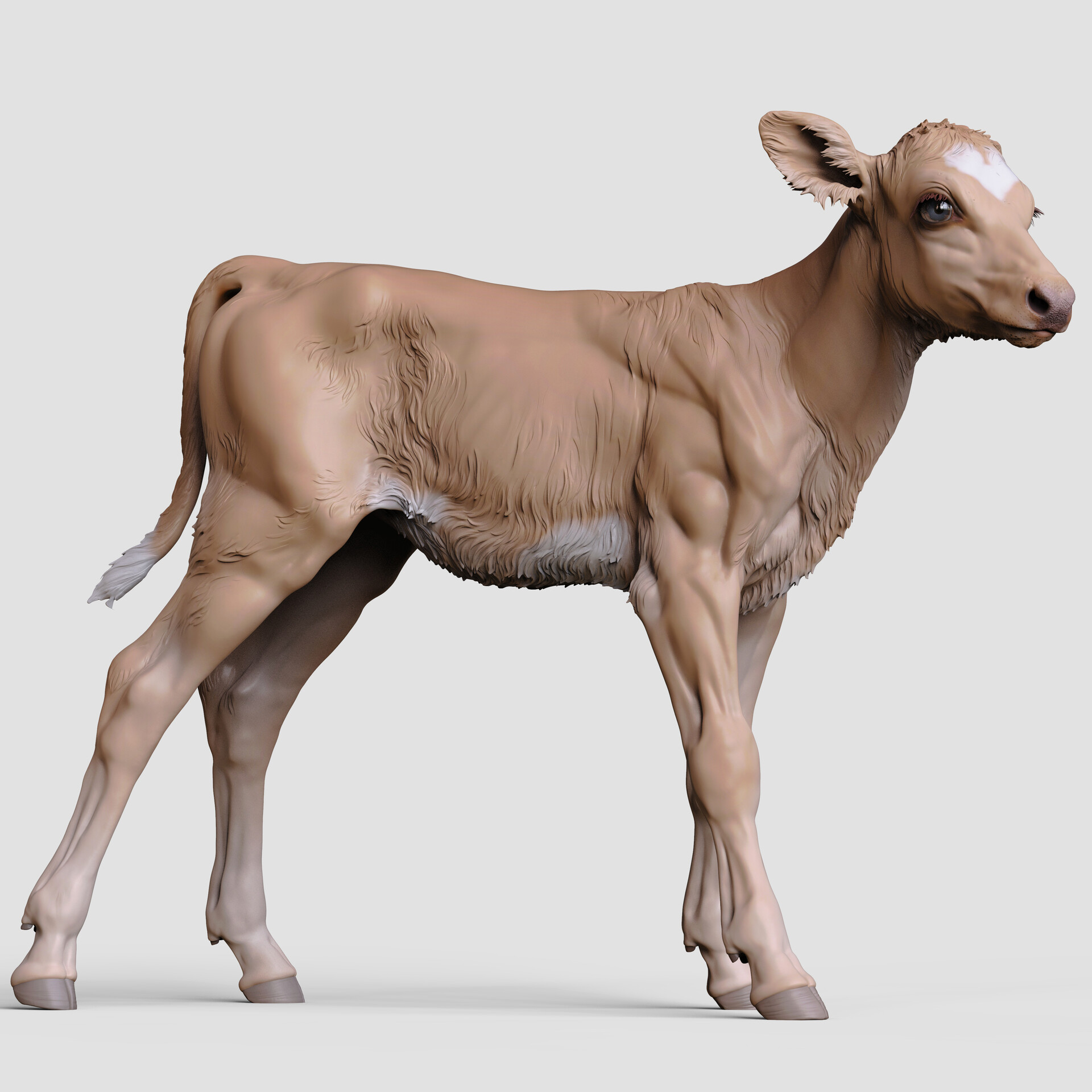 ArtStation - The calf