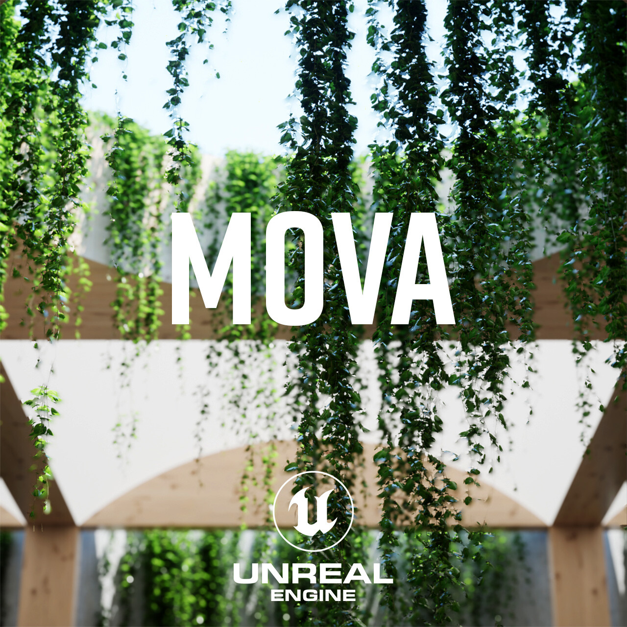 Level11 - MOVA