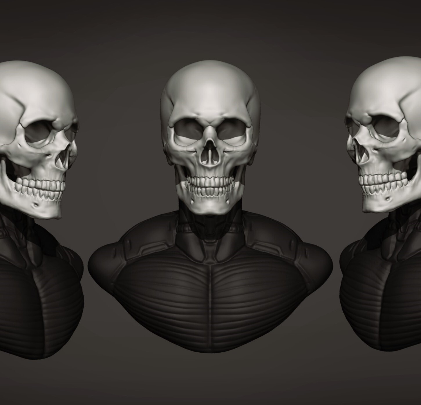 ArtStation - SKULL STUDY