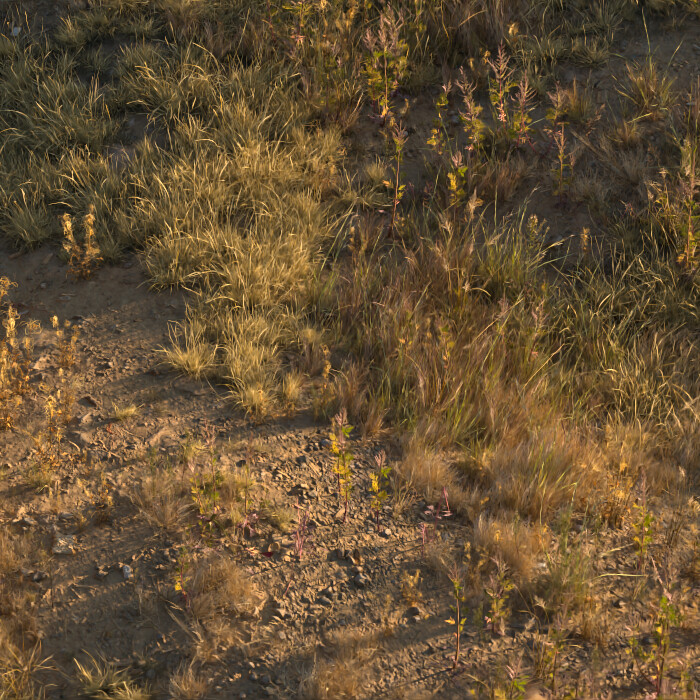 ArtStation - Learning Houdini Scattering - Redshift Instancing