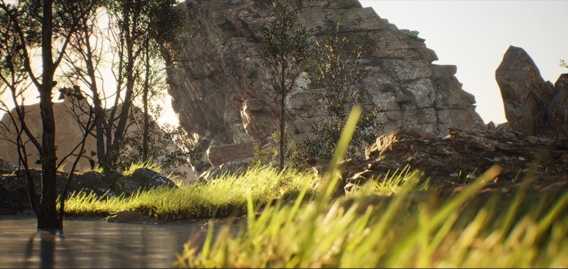 ArtStation - Cinematic Envirnment (Nature)