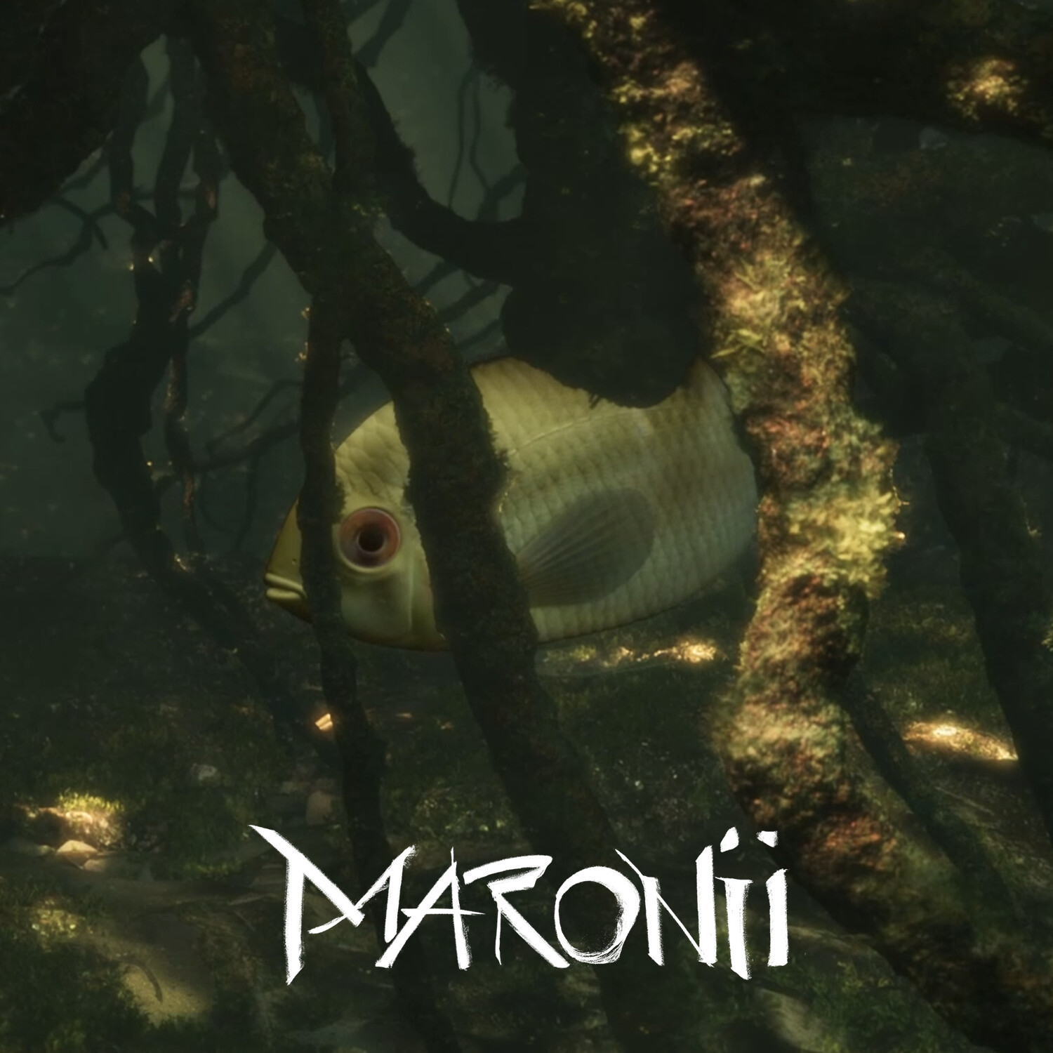 Mai Nguyen - Maronii - Sequence 03