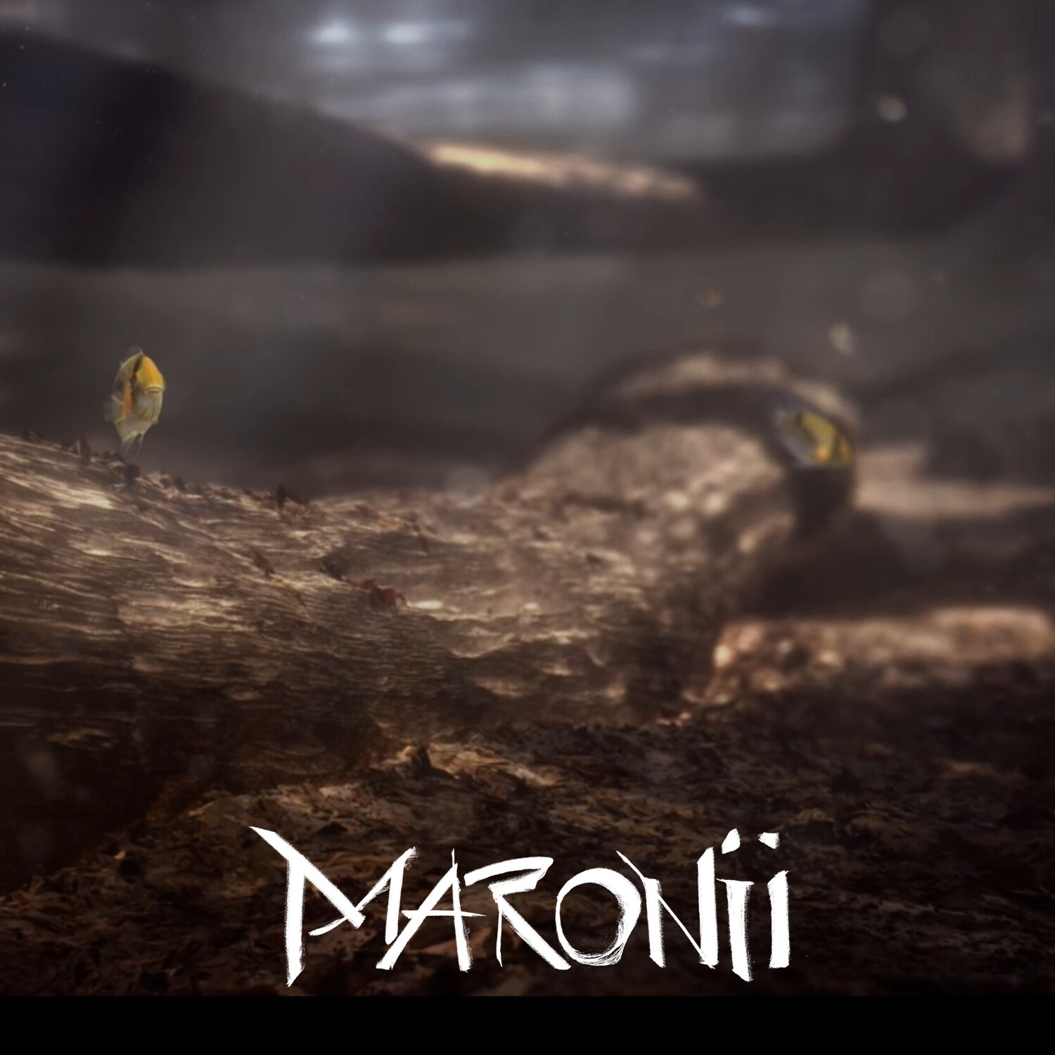 Mai Nguyen - Maronii - Sequence 06