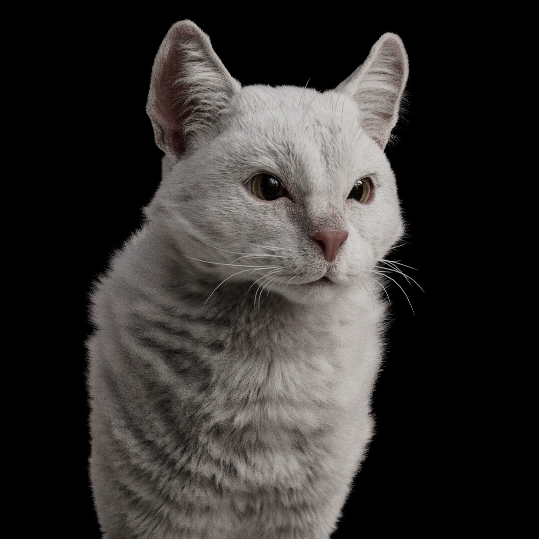ArtStation - WIP / Cat fur in Houdini