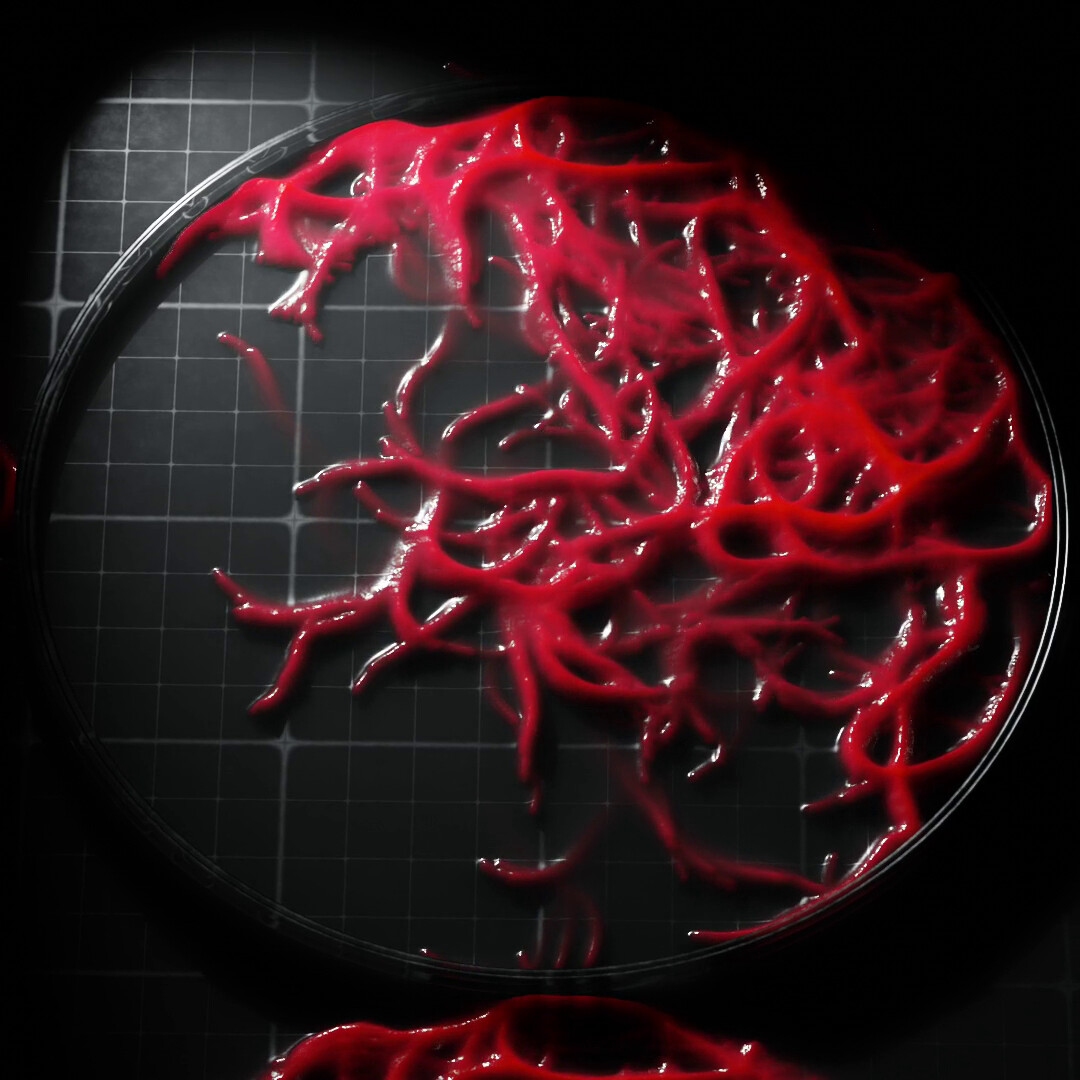 ArtStation - Physarum (Slime Mold) Simulation