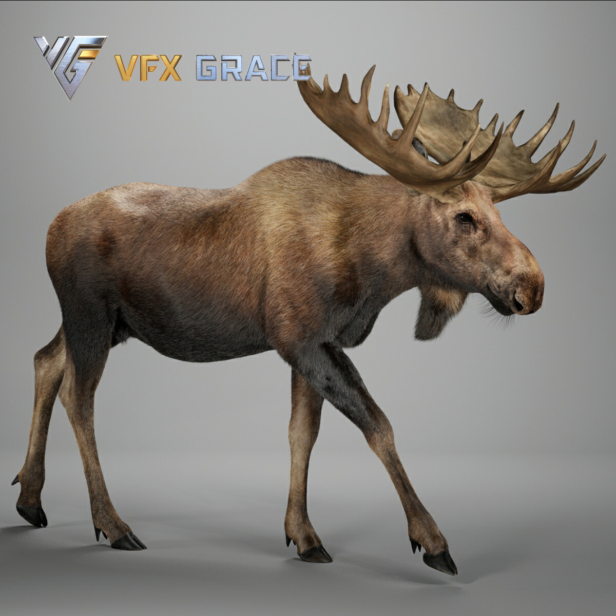 ArtStation - Moose Male - UE Character Asset