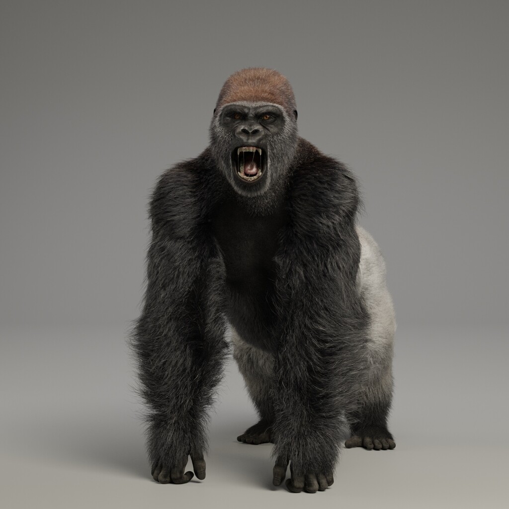 VFX models - Silverback Gorilla Animation | Blender 3d model
