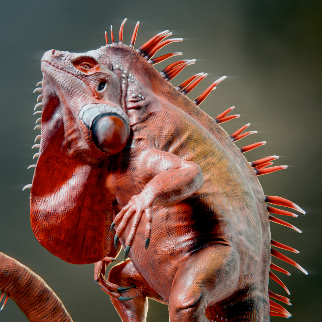 ArtStation - Iguana