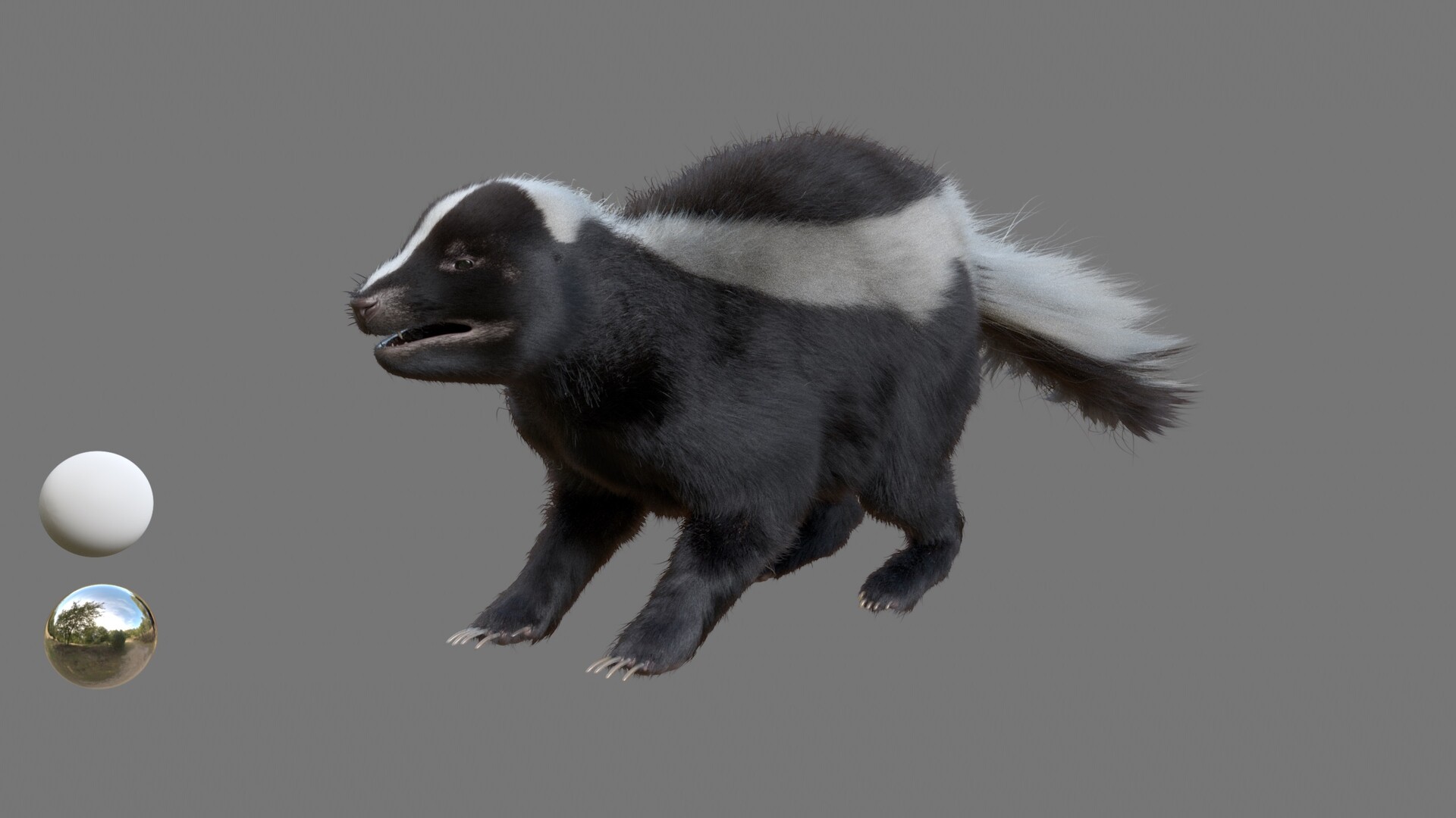 ArtStation - Skunk - full 3D Asset