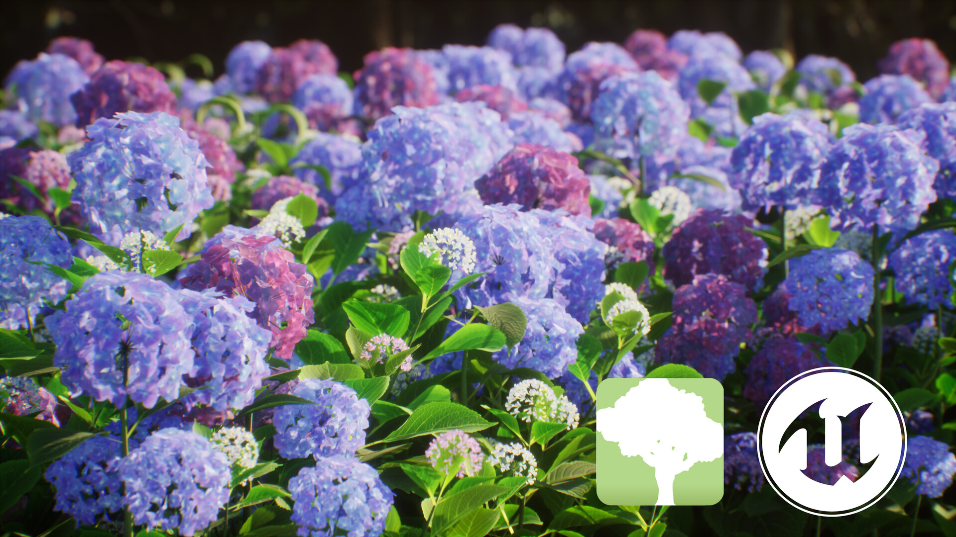 ArtStation - Morning - Hydrangea Garden Unreal Engine 5, SpeedTree