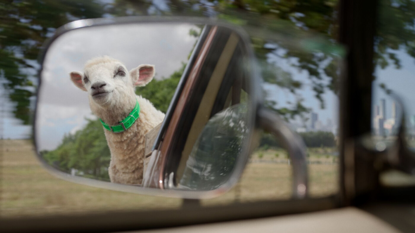 ArtStation - Rigging a sheep for Cox Mobile