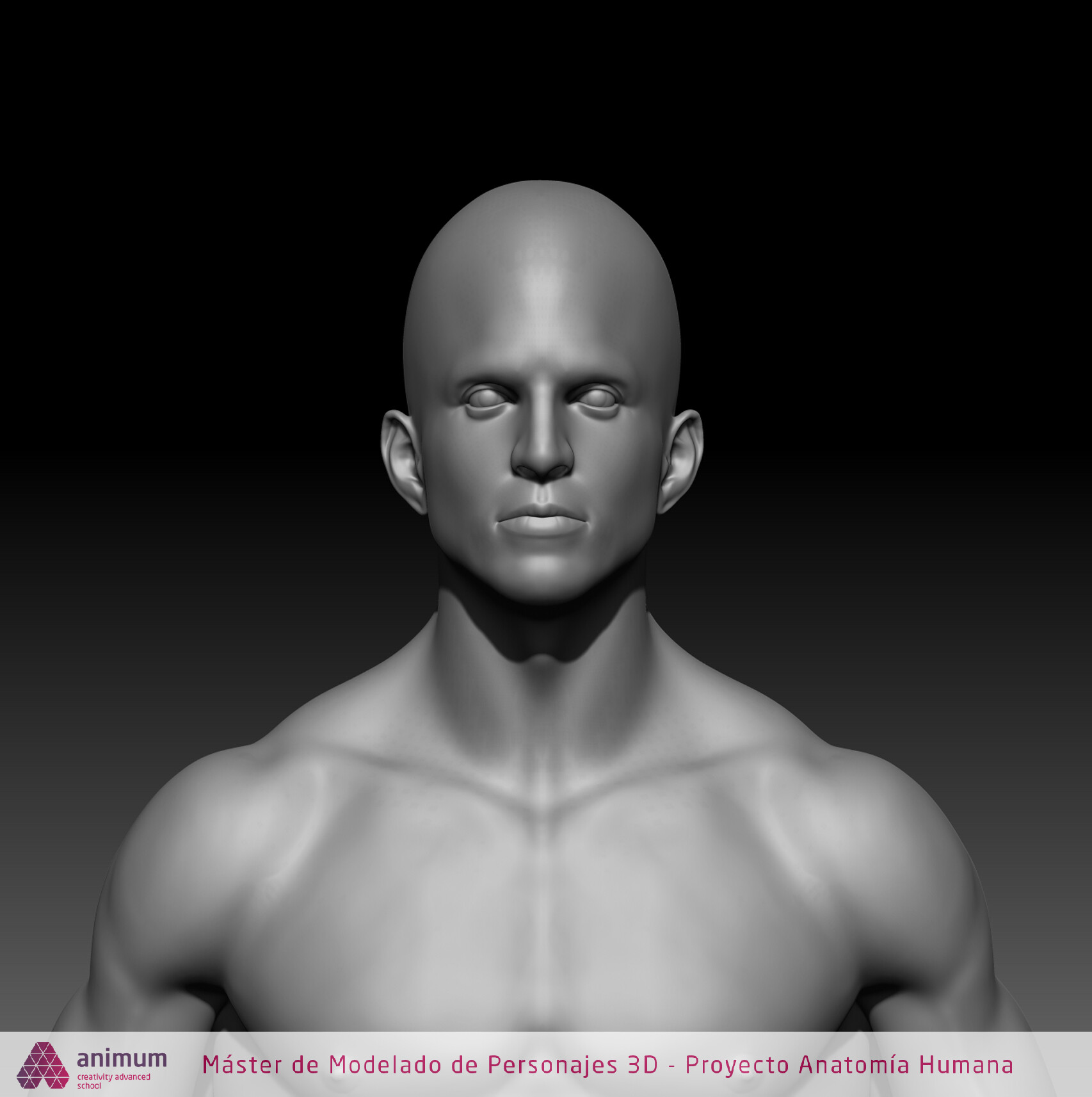 ArtStation - Anatomy Project