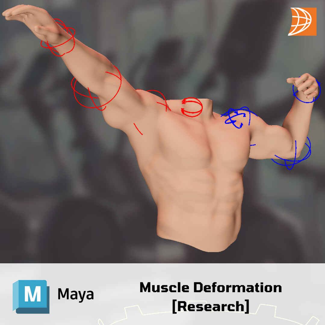 Natália Feketová - Blend shape Deformation in Maya