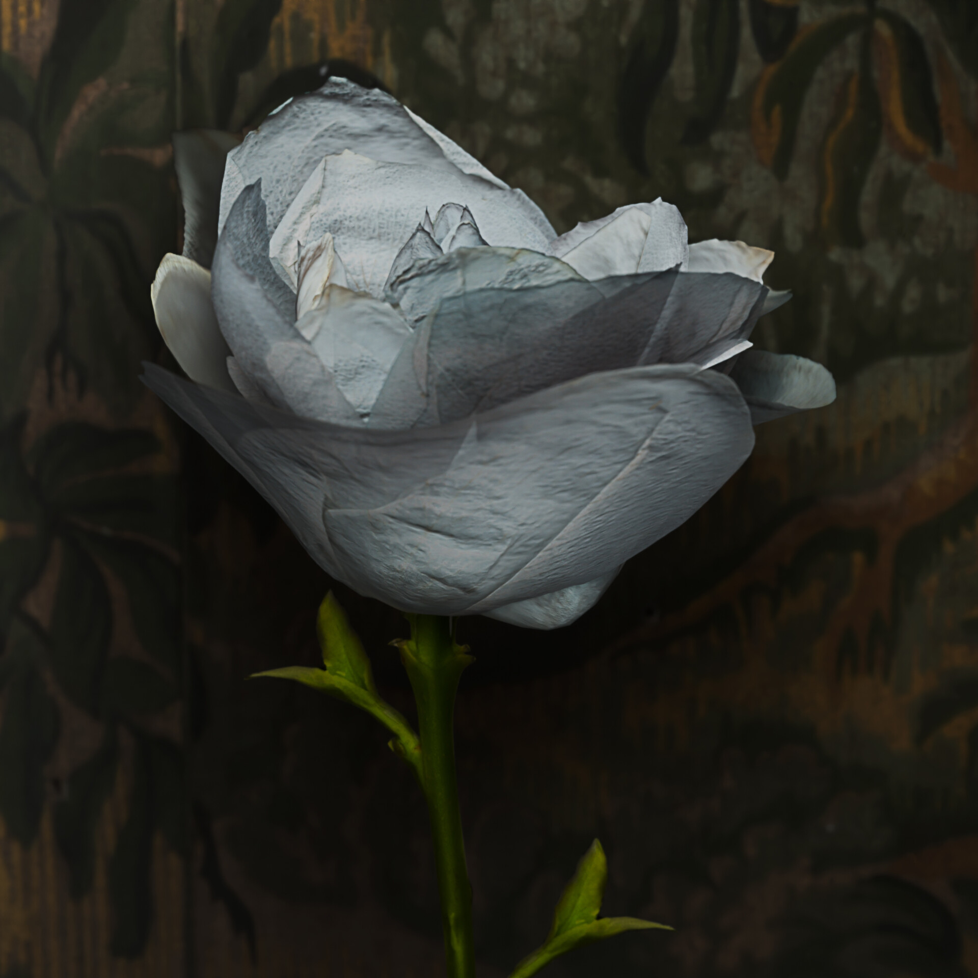 ArtStation - Procedural Foliage Practice