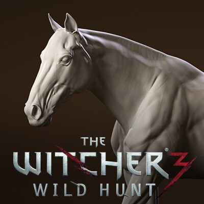 ArtStation - "Witcher 3: The Wild Hunt" cinematic Roach character model