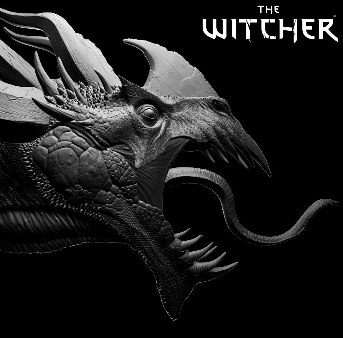 ArtStation - Wyvern | The Witcher Fan Art