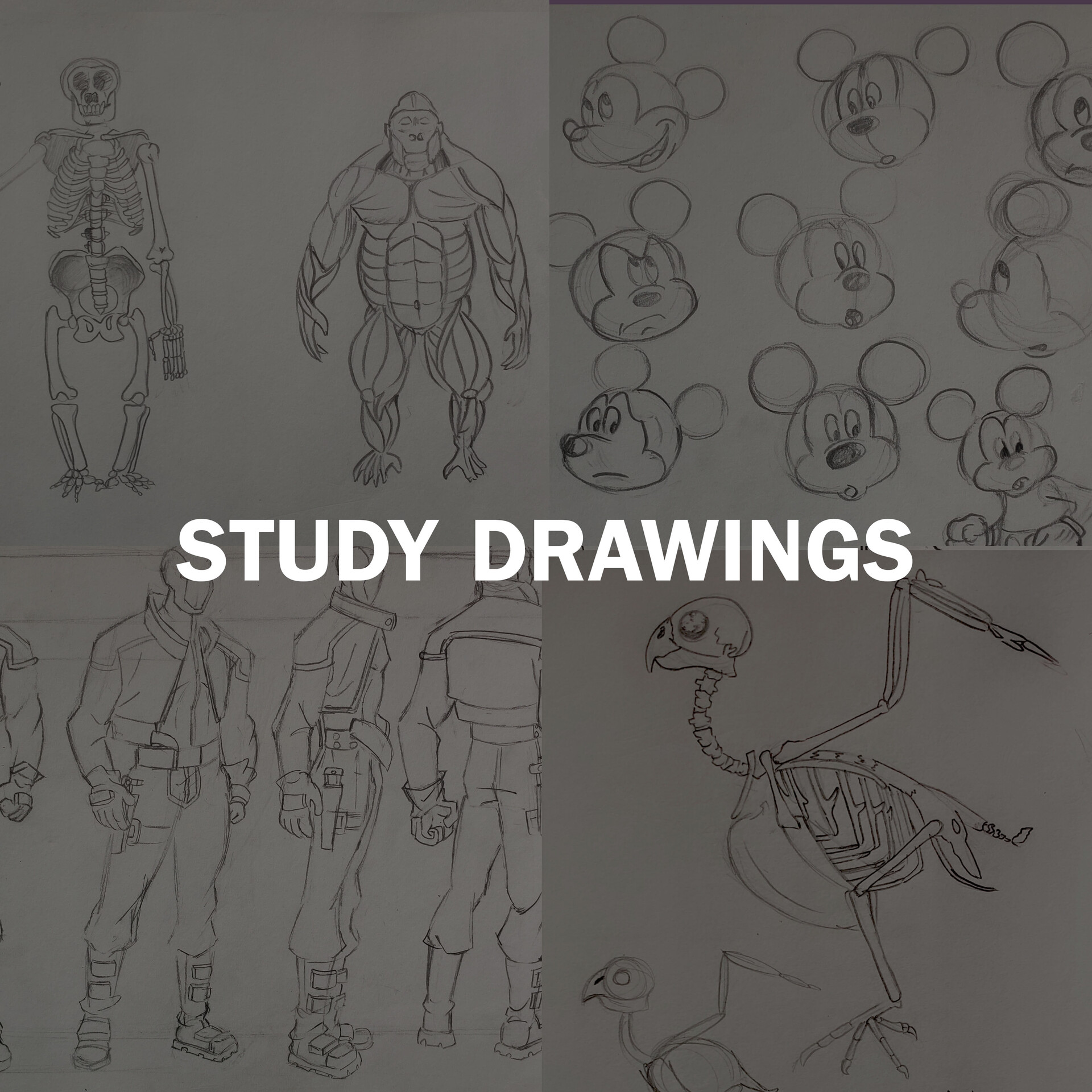 ArtStation - Study Drawings