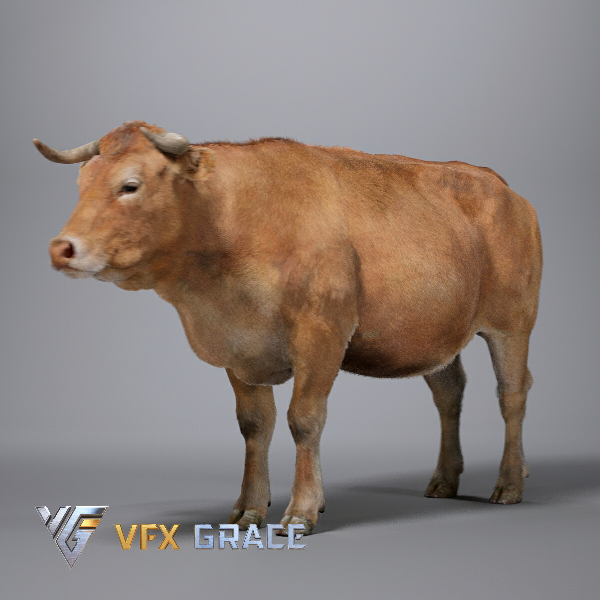 ArtStation - Cattle - UE Character Asset