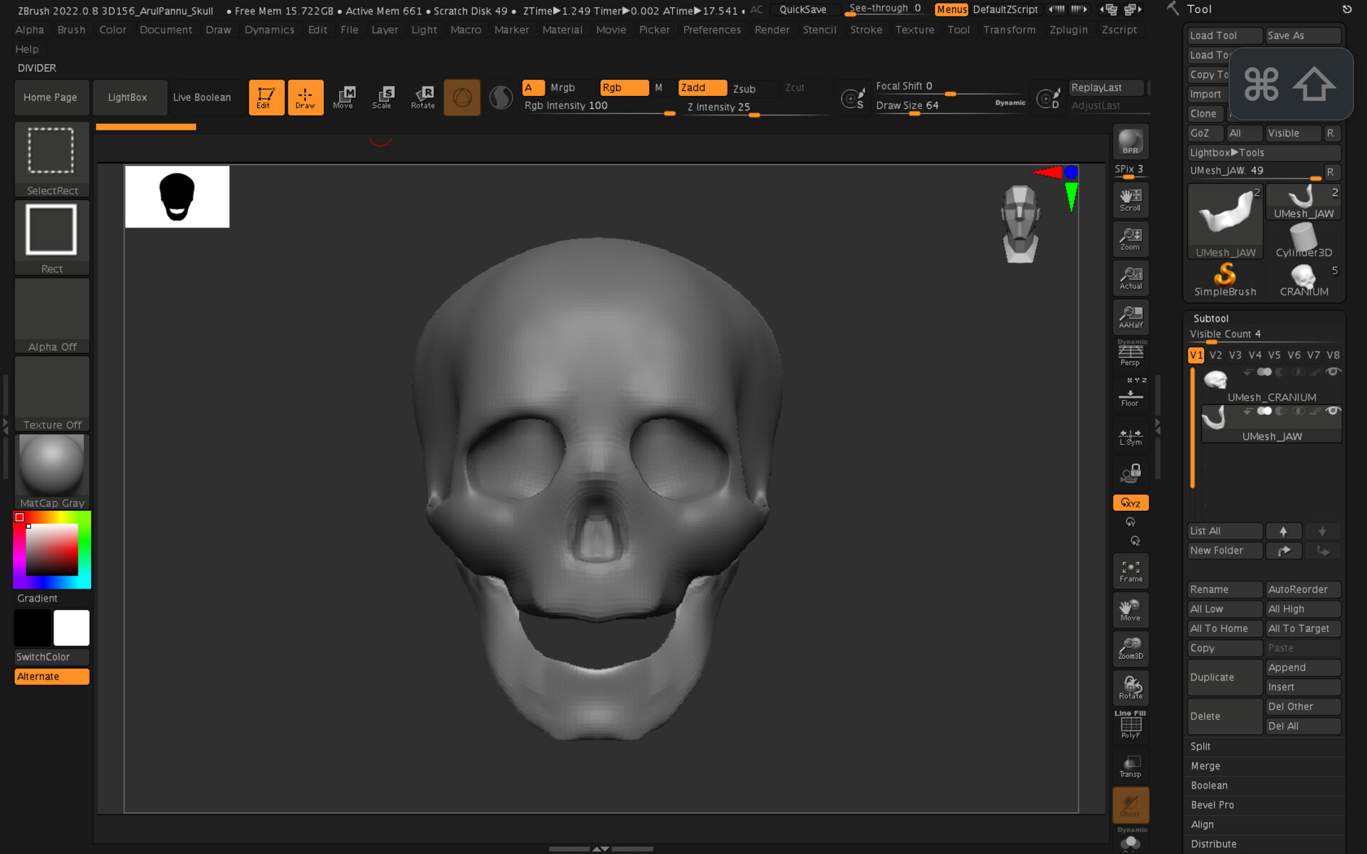 ArtStation - ZBrush Skull