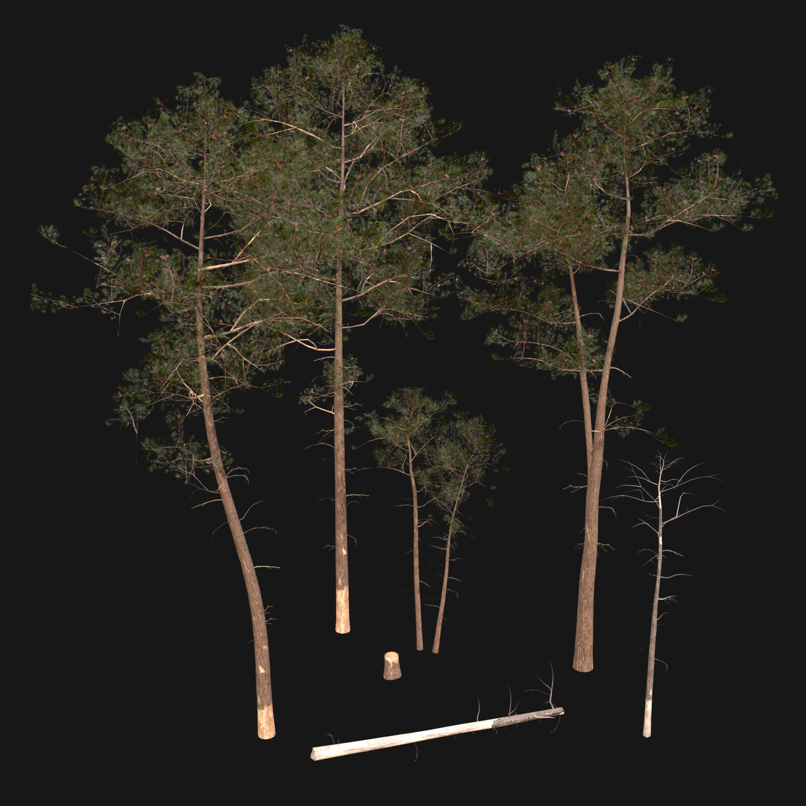 ArtStation - Maritime Pine Trees