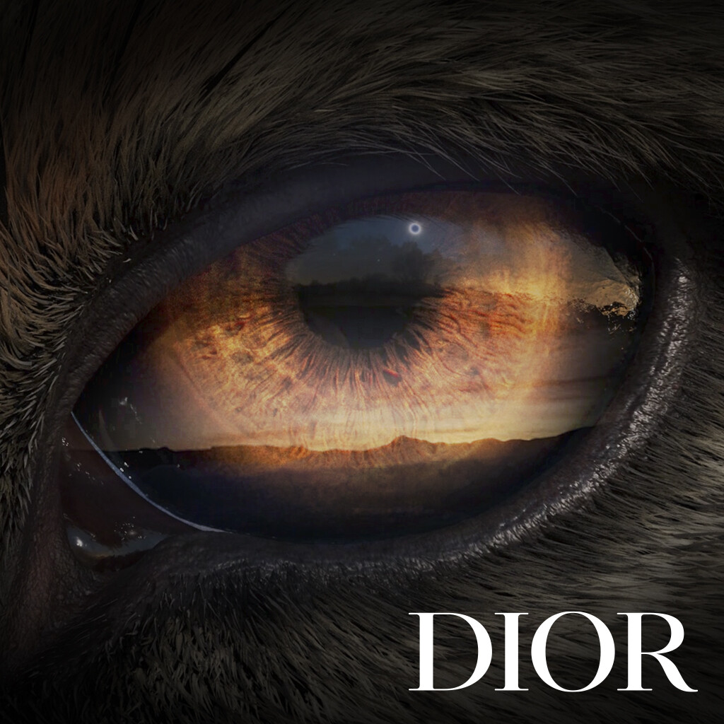 ArtStation - DIOR - Wolf - Live A Journey Inside Sauvage Elixir (2023)