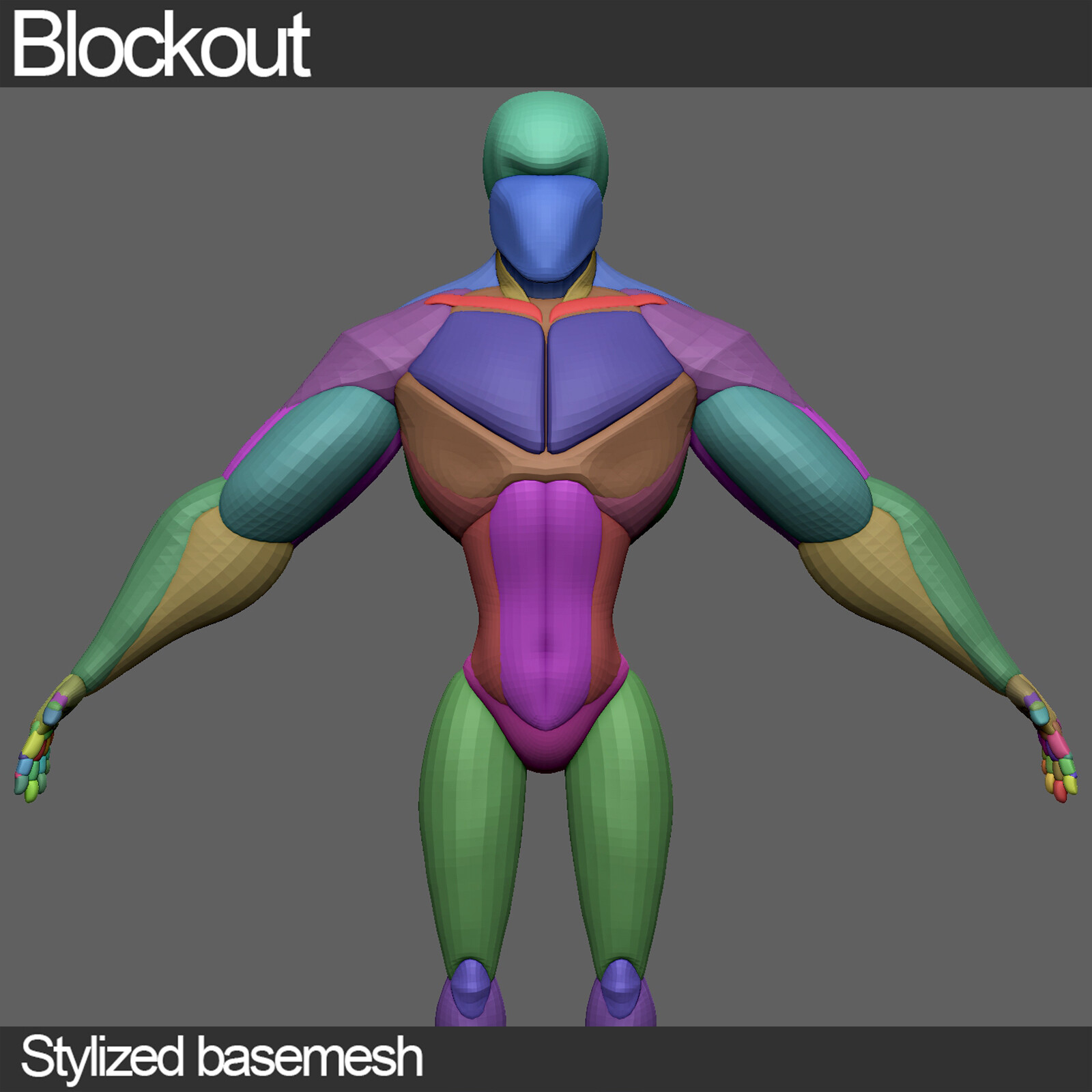 ArtStation - stylized anatomy Basemesh character blockout