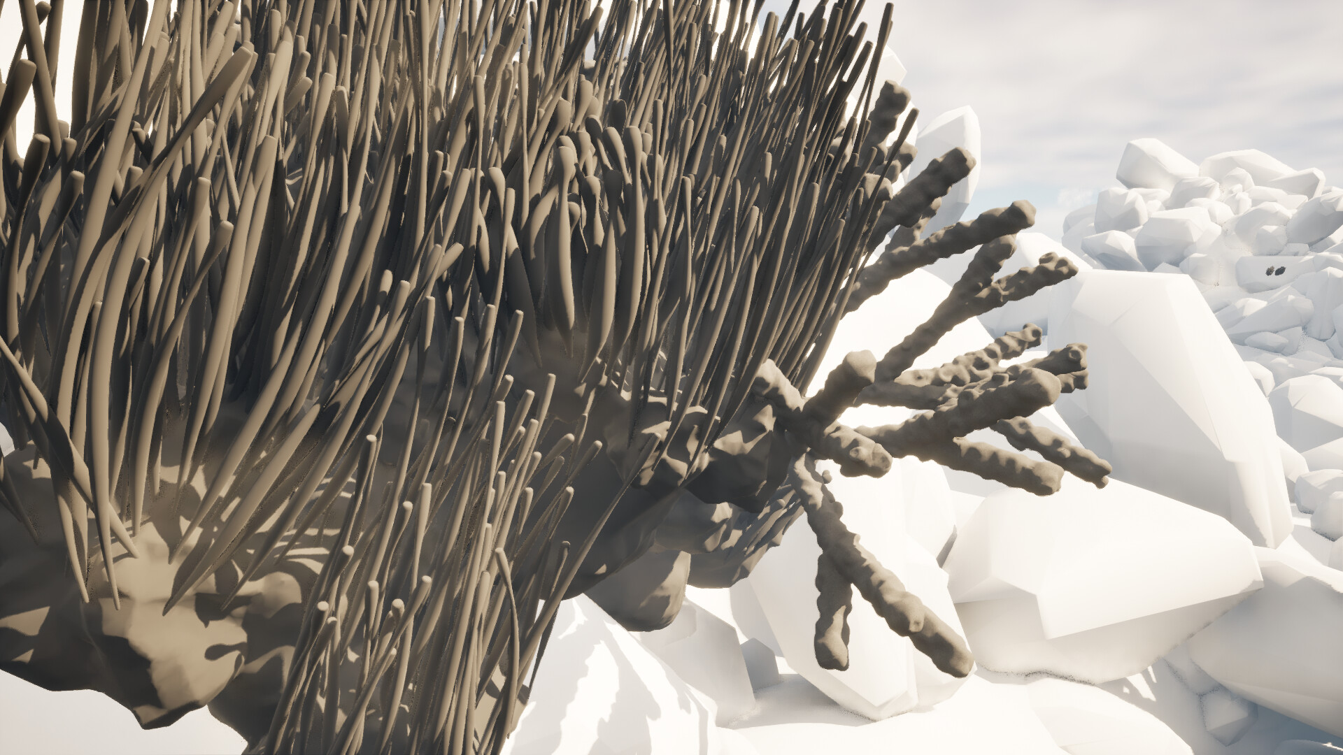 ArtStation - Procedural Animated Coral