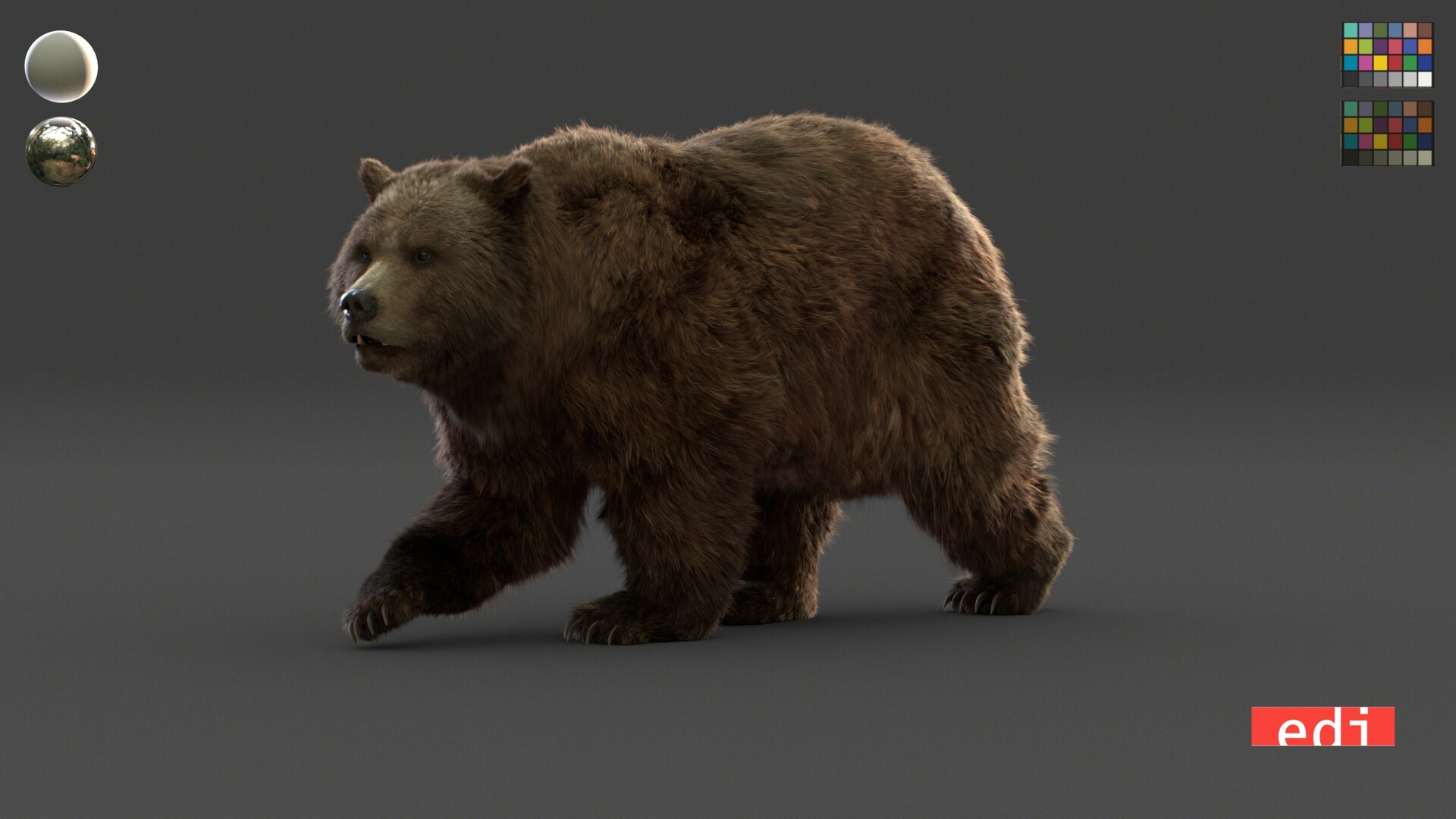 ArtStation - Bear lookdev