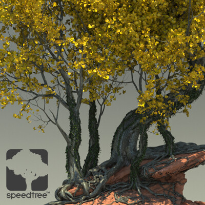 ArtStation - [SpeedTree] The Tree