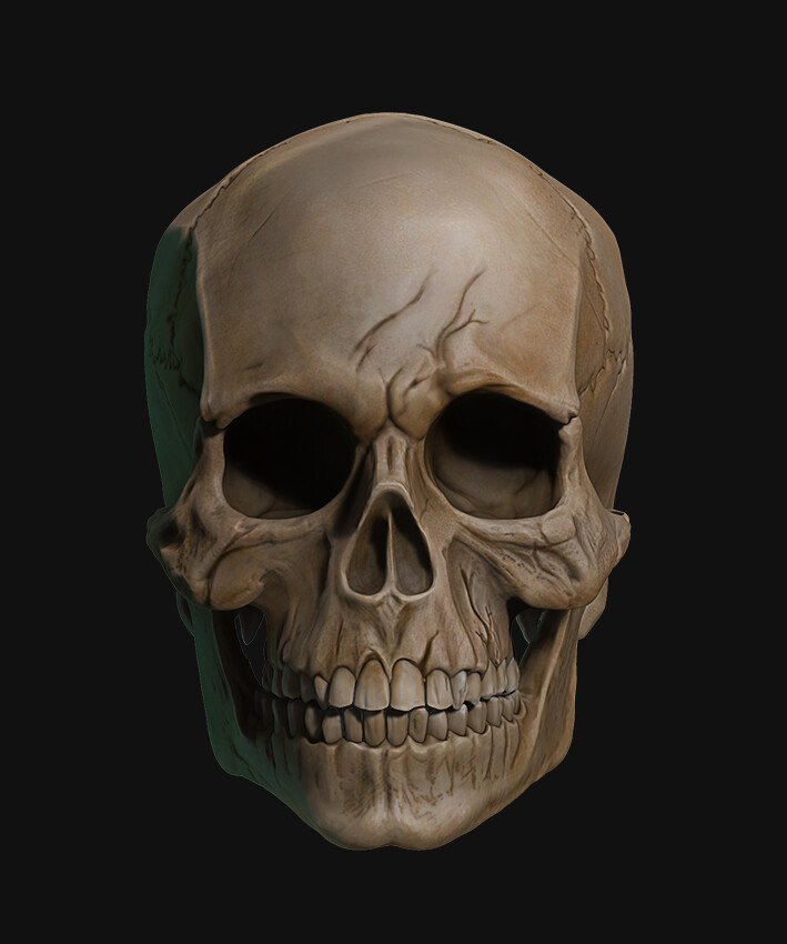 ArtStation - Skull