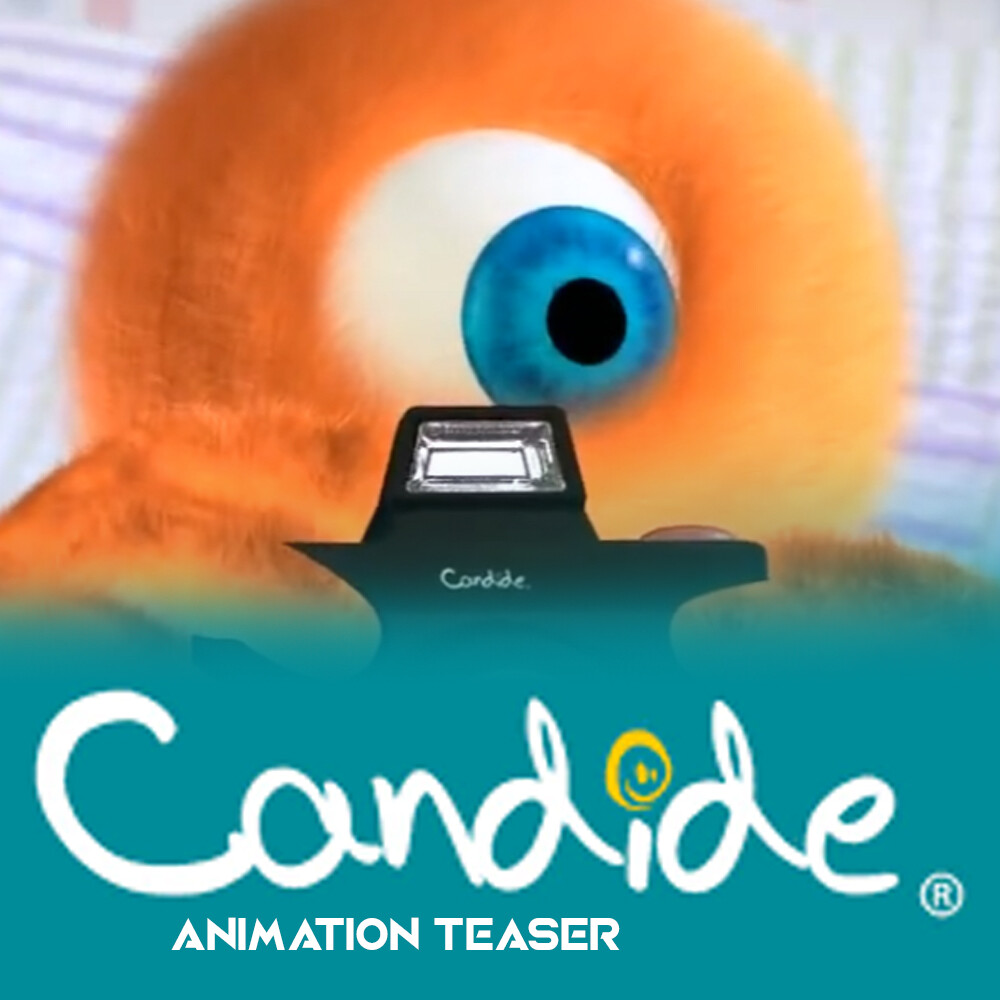 ArtStation - Animation for Candide